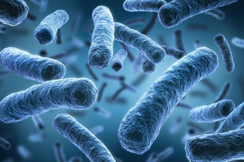 Le projet TRAQUER, porté par le CHU, au sein du Tiers-Lieu d ...